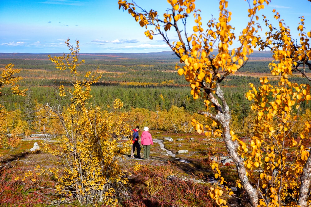 Lapin vuodenkierron vaiheet ja kuinka nauttia (tai selvitä) niistä ...